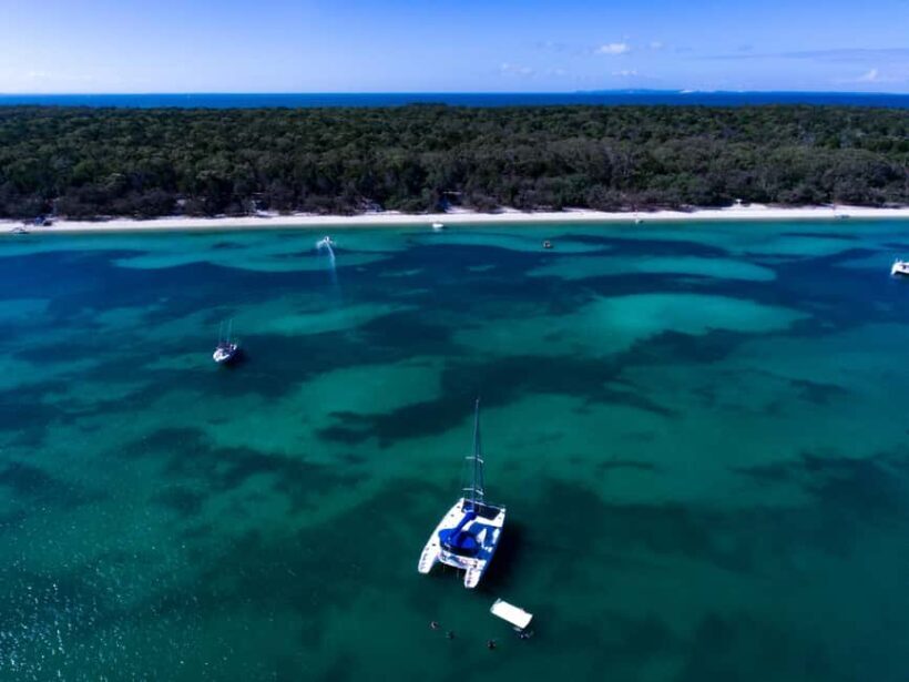 Brisbane: Half-Day Moreton Bay Sailing Cruise with Antipasto - Final Thoughts