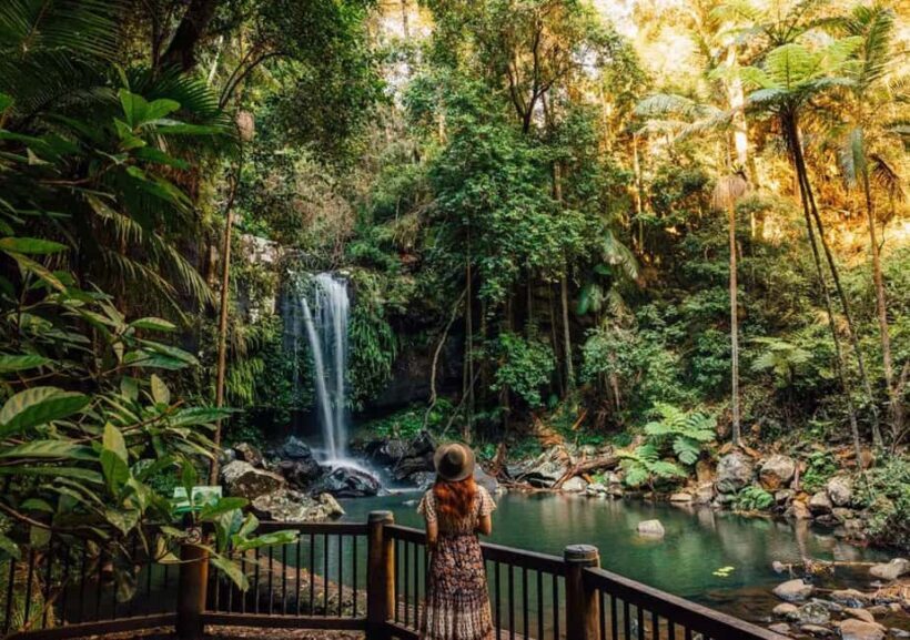Brisbane: Hop on Hop off Bus to Tamborine Mountain - Final Thoughts