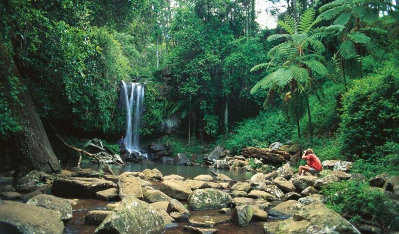 Brisbane: Hop on Hop off Bus to Tamborine Mountain - FAQ
