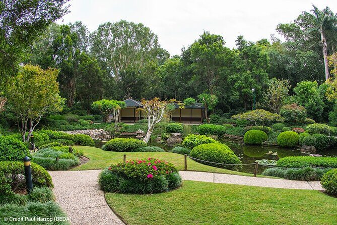 Brisbane Insights 4 Hour Tour - A Closer Look at What You Can Expect
