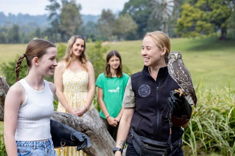 Brisbane: Lone Pine Koala Sanctuary Day Pass - Pricing and How It Stacks Up