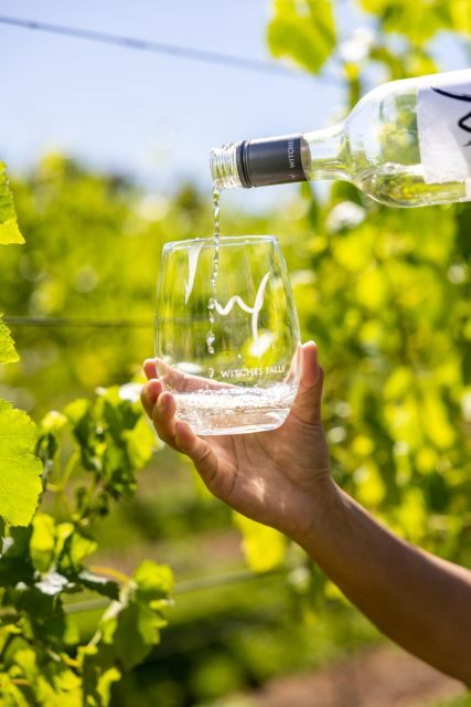Brisbane: Luxury Winery Tour with Gourmet Lunch & Distillery - What to Expect from the Brisbane Luxury Winery Tour