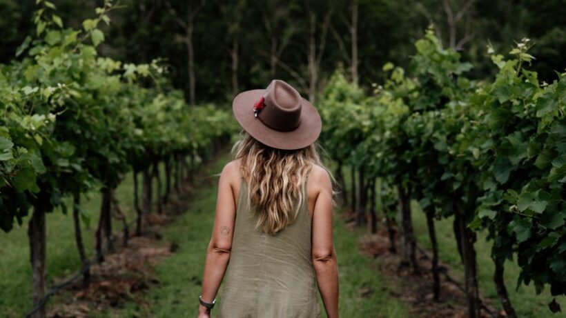 Brisbane: Luxury Winery Tour with Gourmet Lunch & Distillery - Who Should Consider This Tour?