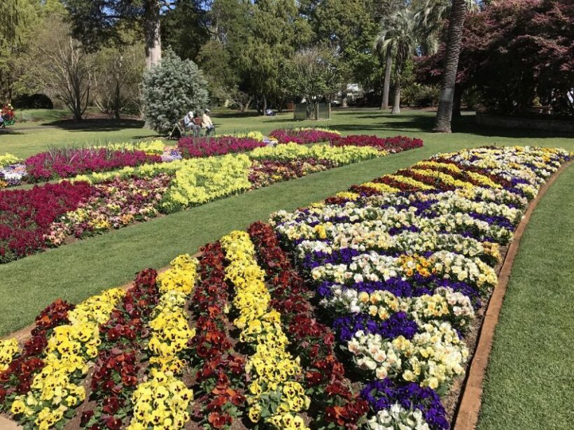 Brisbane: Personal Southeast Queensland Tour - How the Itinerary Works