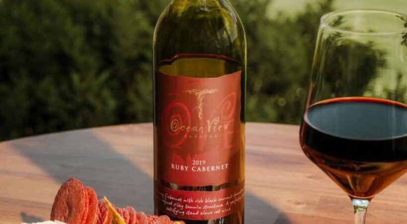 Brisbane: Picnic in the Vines - The Experience: What to Expect