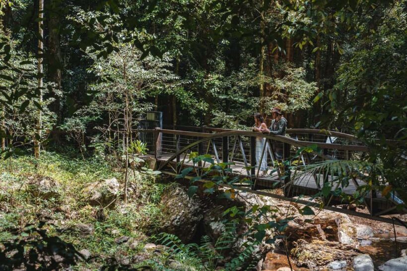 Brisbane: Rainforests, Waterfalls and Glow Worm Cave Tour - The Sum Up: Is It Worth It?