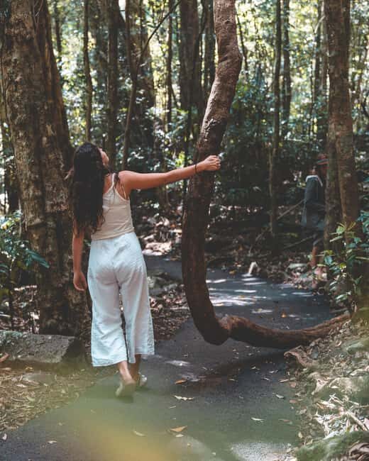 Brisbane: Rainforests, Waterfalls and Glow Worm Cave Tour - FAQ