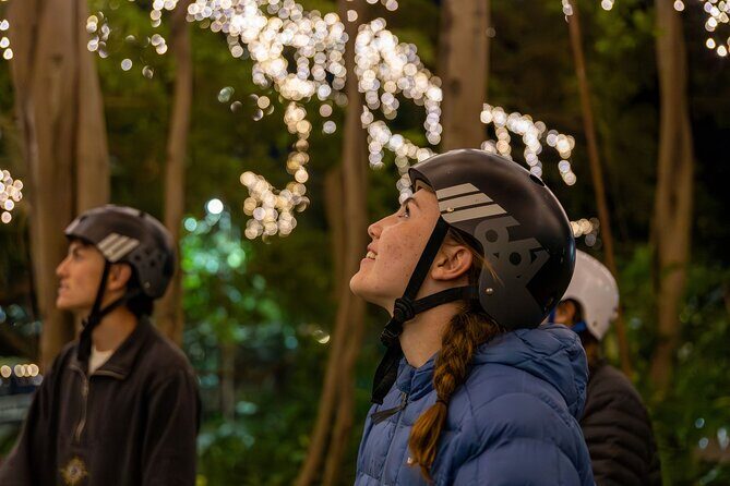 Brisbane Segway Sightseeing Tour - Key Points