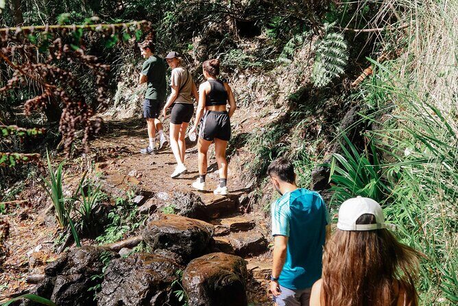Brisbane: Springbrook 7 Waterfalls and Natural Bridge Day Tour - Final Thoughts