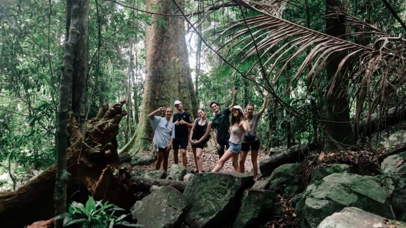 Brisbane: Springbrook 7 Waterfalls and Natural Bridge Tour - Key Points