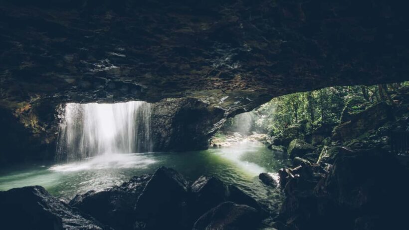 Brisbane: Springbrook 7 Waterfalls and Natural Bridge Tour - Discovering Springbrooks Waterfalls and Scenic Spots