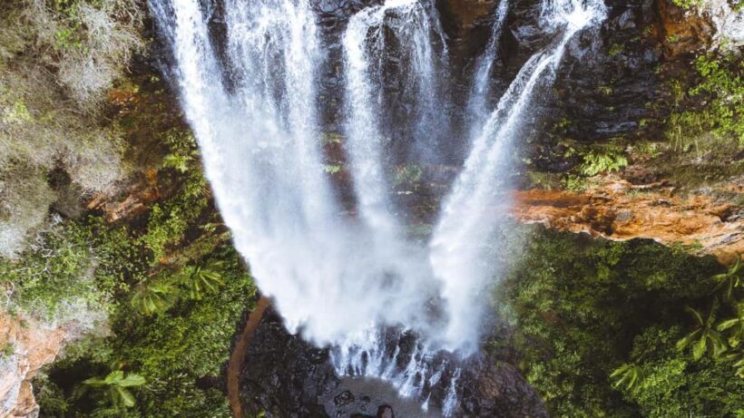 Brisbane: Springbrook 7 Waterfalls and Natural Bridge Tour - Who Will Love This Tour?