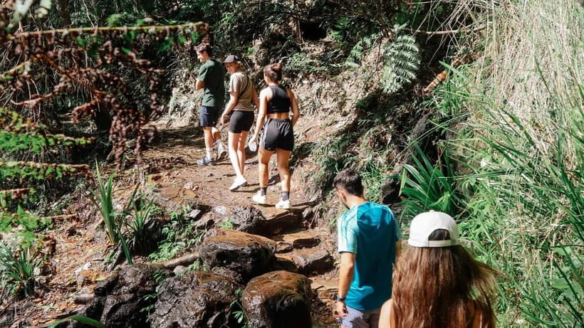 Brisbane: Springbrook 7 Waterfalls and Natural Bridge Tour - FAQ