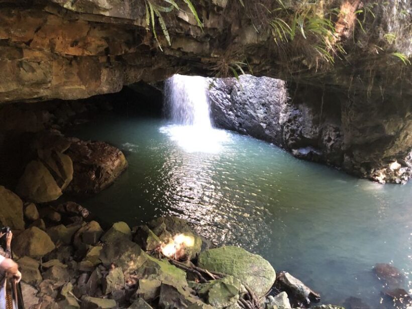 Brisbane: Springbrook and Mt Tamborine Glow Worm and Skywalk - Introduction to the Tour