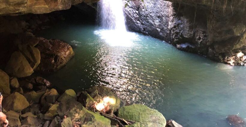 Brisbane: Springbrook and Mt Tamborine Glow Worm and Skywalk - Transportation, Guides, and Group Size
