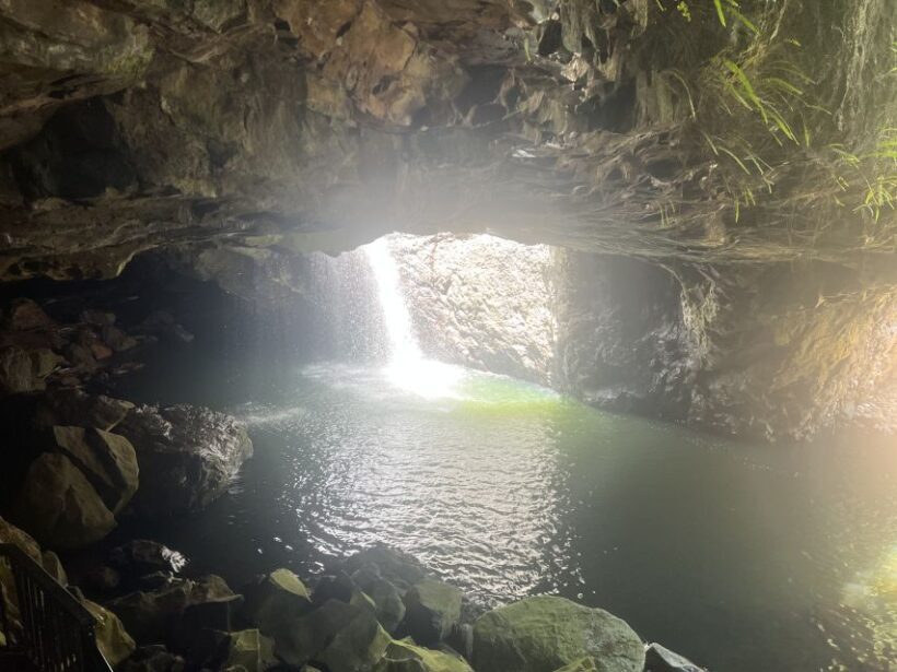 Brisbane: Springbrook and Mt Tamborine Glow Worm and Skywalk - Who Is This Tour Best For?