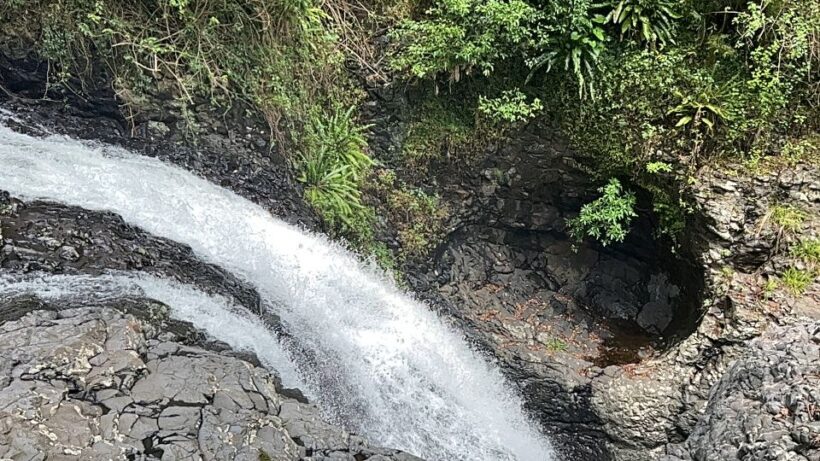 Brisbane: Springbrook and Mt Tamborine Glow Worm and Skywalk - FAQ
