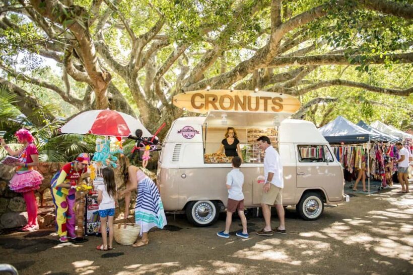 Brisbane: Sunshine Coast Hinterland & Noosa Small Group Tour - Key Points