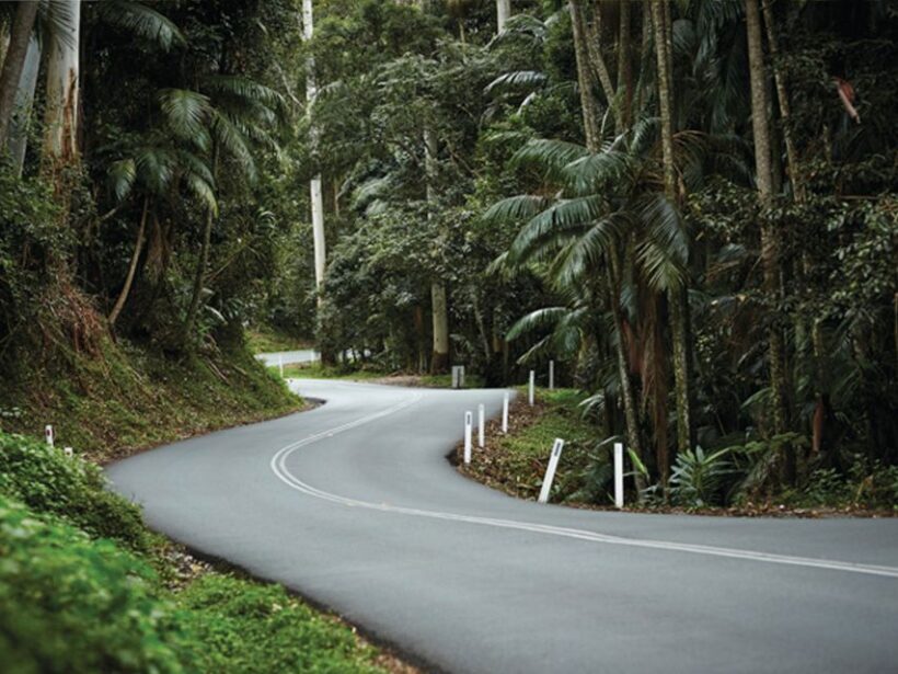Brisbane: Tamborine Mountain Local Winery Tour with Lunch - FAQ