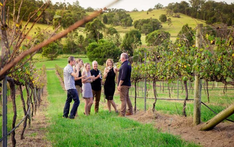 Brisbane: Wine & Dine In The Vines - Brisbane: Wine & Dine In The Vines — A Practical, Authentic Day Out