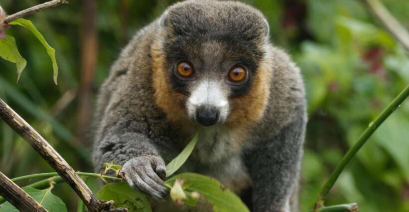Bristol: Bristol Zoo Project Entry Ticket - Final Thoughts