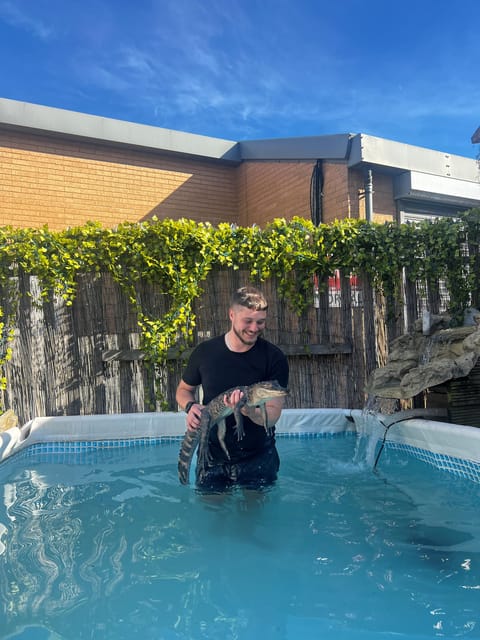 Bristol: Crocodile Swimming Experience with Lunch x2 - Key Points