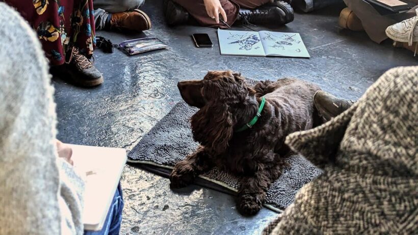 Bristol: Dog Life Drawing led by local Artist Cai Burton - What to Expect from the Bristol Dog Life Drawing Experience