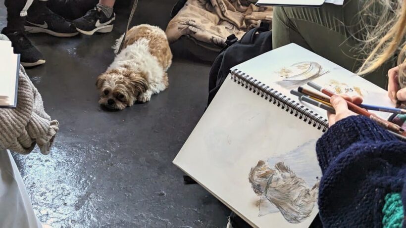 Bristol: Dog Life Drawing led by local Artist Cai Burton - Who Should Try This?