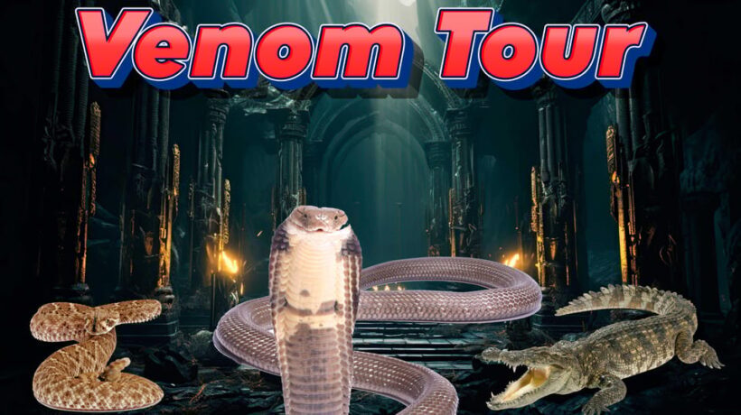 Bristol: Venomous Snake Tour w/ Guide & Croc Photo - What to Expect from the Bristol Venomous Snake Tour