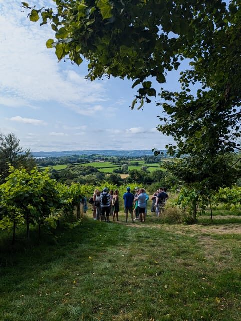 Bristol: Wine & Cheese in the Cheddar Valley - Value for Money and Overall Impression