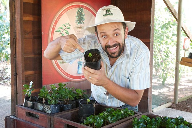 Britt Coffee Tour From San José - Highlights of the Tour