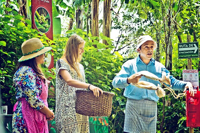 Britt Coffee Tour From San José - Tour Duration and Itinerary