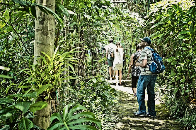 Britt Coffee Tour From San José - Culinary Experiences on the Tour