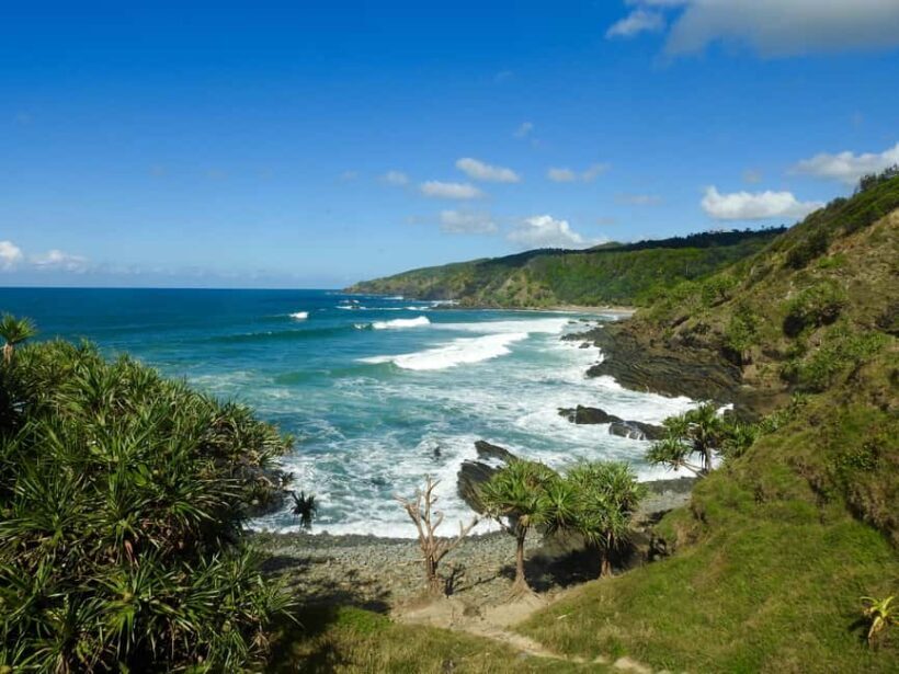 Broken Head: Nature Reserve Guided Eco-Tour with Beach Visit - Key Points