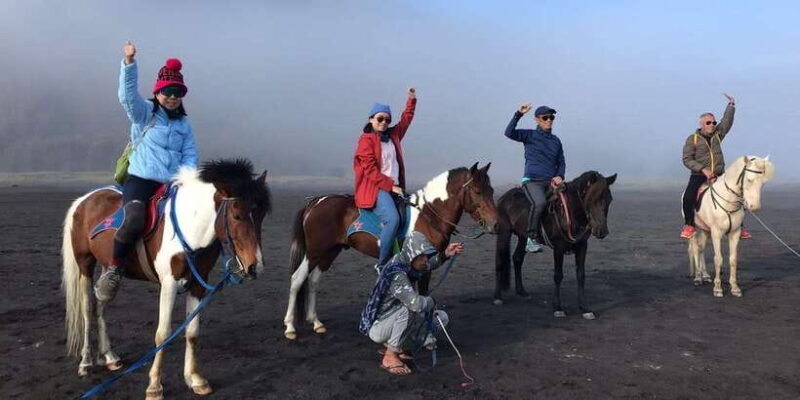 Bromo and Ijen Expedition: 3 Days of Adventure - FAQ (Frequently Asked Questions)