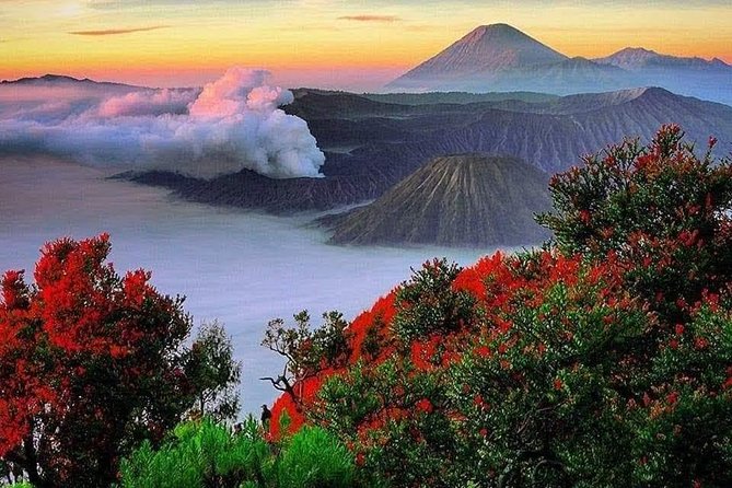 Bromo Ijen Tour From Bali - What This Tour Means for You