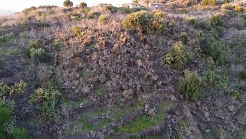 Bronte: Tour e degustazione nelle piantagioni di pistacchi - Final Thoughts