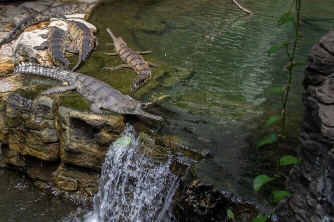 Bronx Zoo Admission Ticket - What About Value?