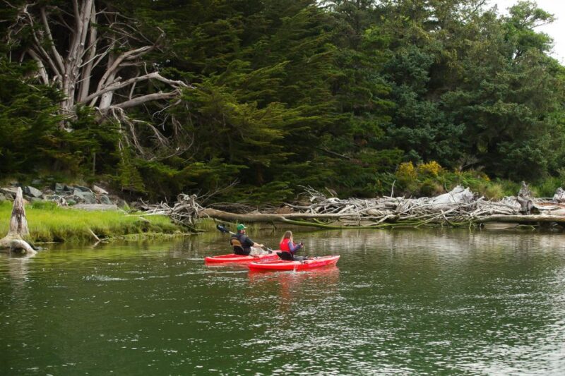 Brookings: Chetco River Kayak Tour - Final Thoughts