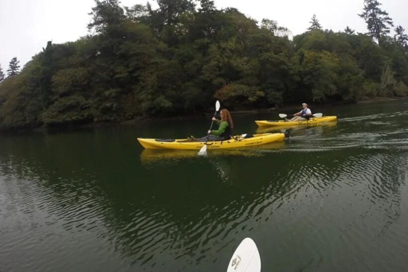 Brookings: Pacific Ocean Kayak Tour - Discovering the Coast from a Kayak: What to Expect