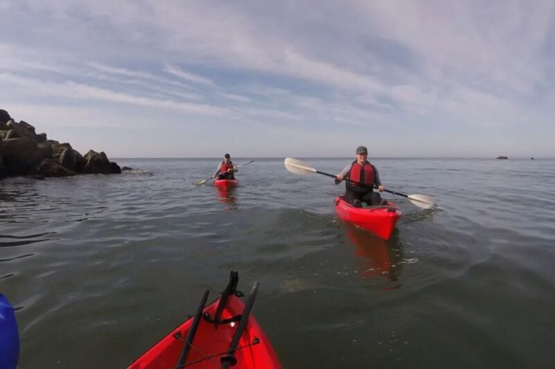 Brookings: Pacific Ocean Kayak Tour - Key Points