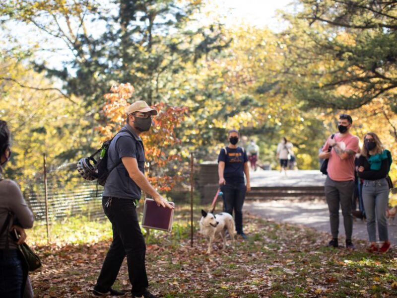 Brooklyn: 2-Hour Prospect Park Guided Walking Tour - Key Points