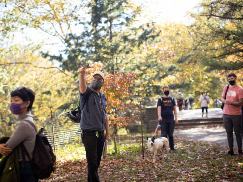 Brooklyn: 2-Hour Prospect Park Guided Walking Tour - The Value of This Tour