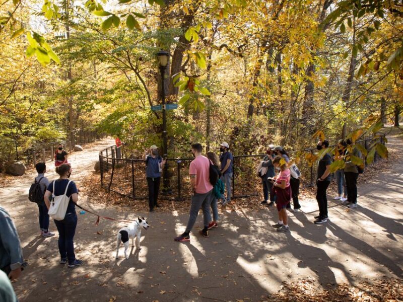 Brooklyn: 2-Hour Prospect Park Guided Walking Tour - FAQ