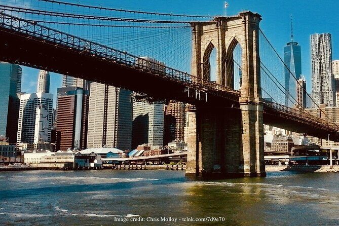 Brooklyn Bridge & DUMBO: Private New York Half-Day Walking Tour - What’s Included and What’s Not