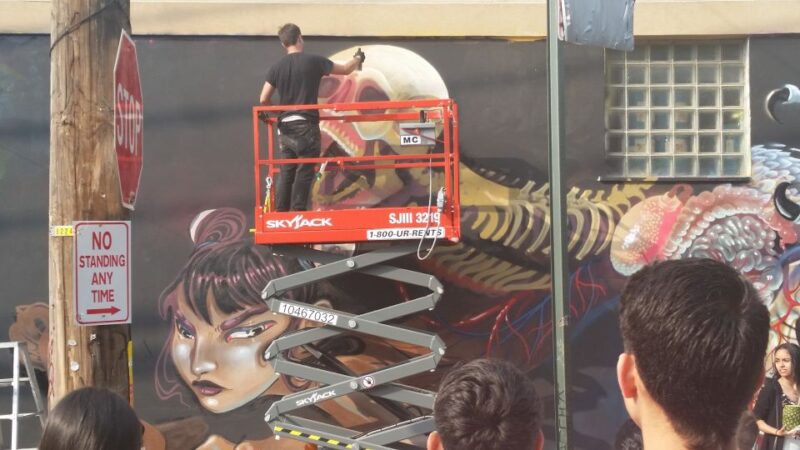 Brooklyn: Bushwick Street Art Walking Tour - Practical Details and Value