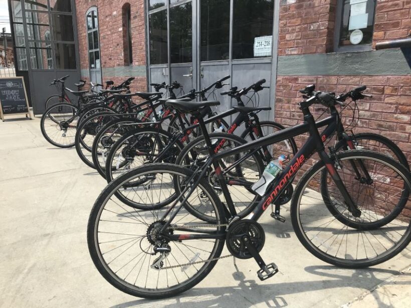 Brooklyn: Half-Day Cycling Tour - Authentic Feedback from Participants