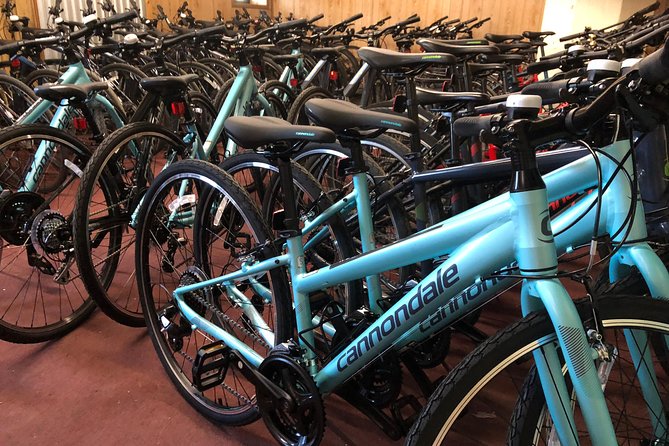 Brooklyn Neighborhoods Small-Group Bike Tour - Traveler Experiences