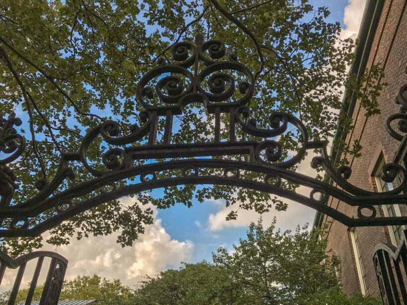 Brooklyn: The Bridge, DUMBO, & Brooklyn Heights Best of Tour - Reviews & Feedback