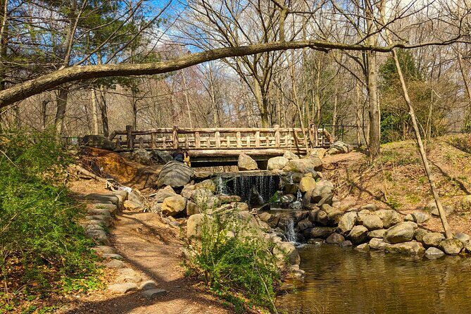 Brooklyns Oasis: Audio Guide to Prospect Park - Final Thoughts: Who Is This Tour Best For?